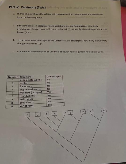 Part IV: Parsimony (7 pts) 1. The tree below shows | Chegg.com