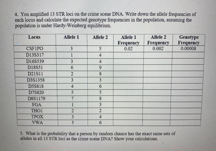 4. You amplified 13 STR loci on the crime scene DNA. | Chegg.com