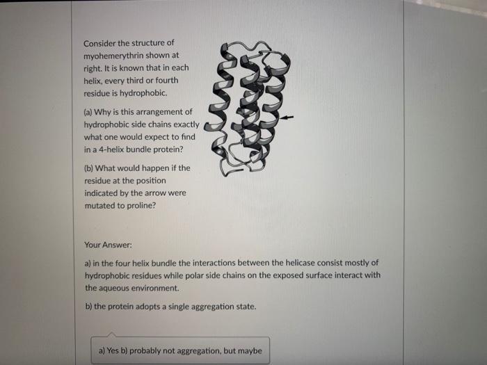 Solved Consider the structure of myohemerythrin shown at | Chegg.com