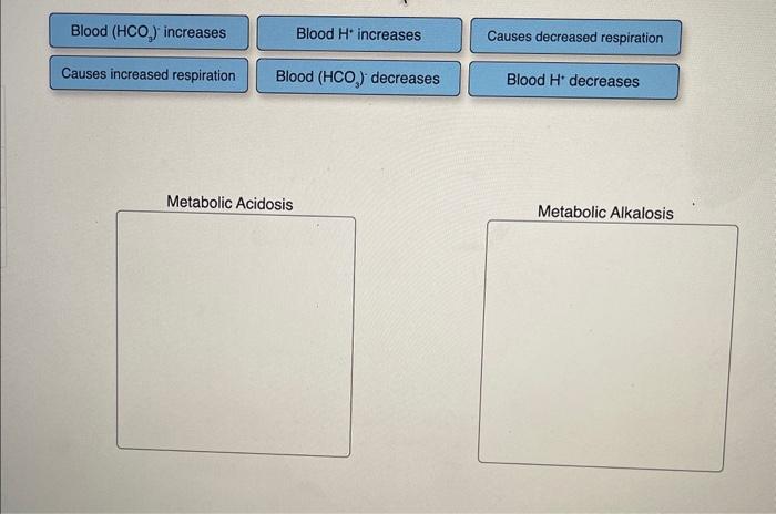Solved \begin{tabular}{l} Blood (HCO3) increases \\ Blood H∗ | Chegg.com