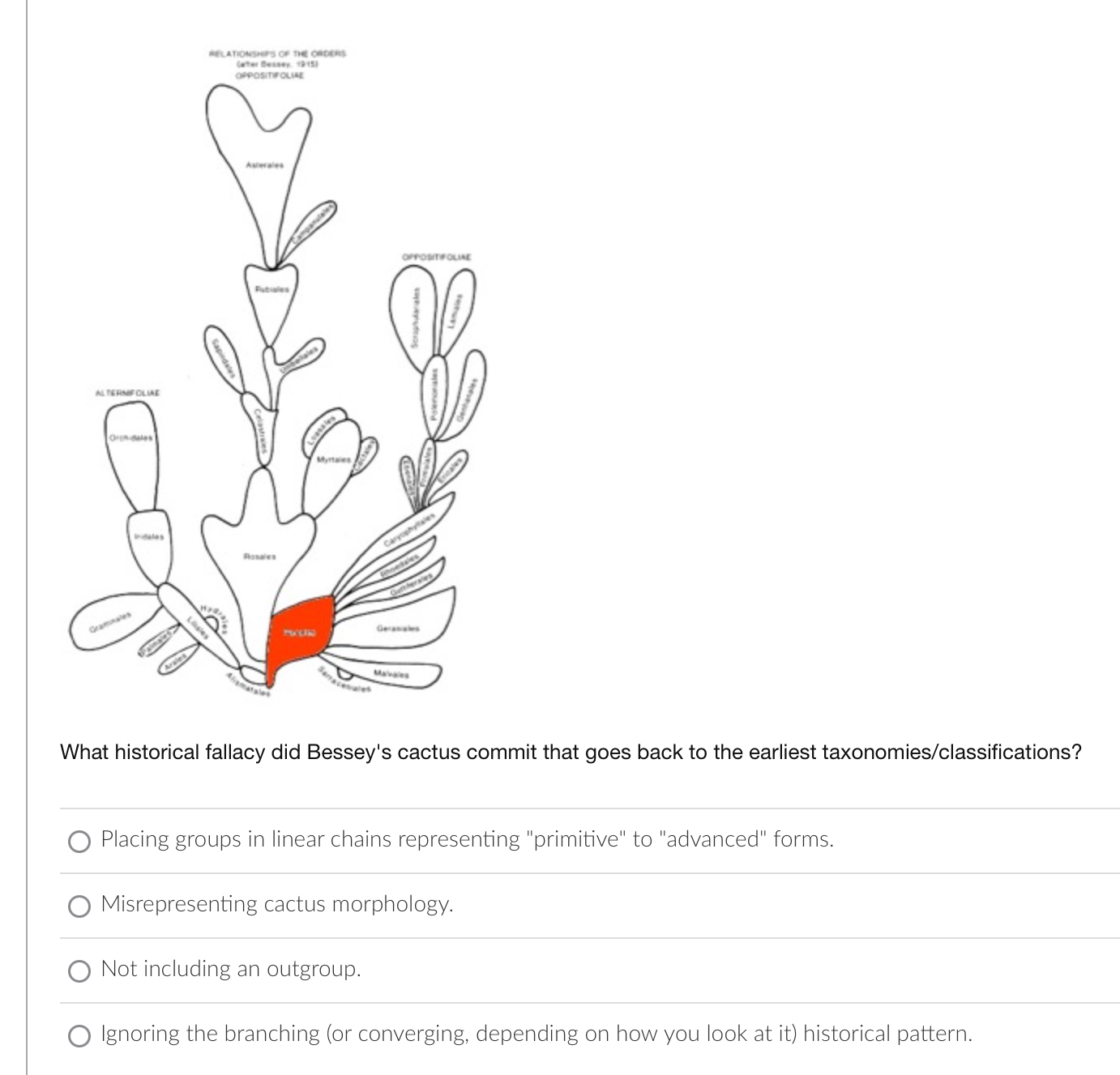 Solved What historical fallacy did Bessey's cactus commit | Chegg.com