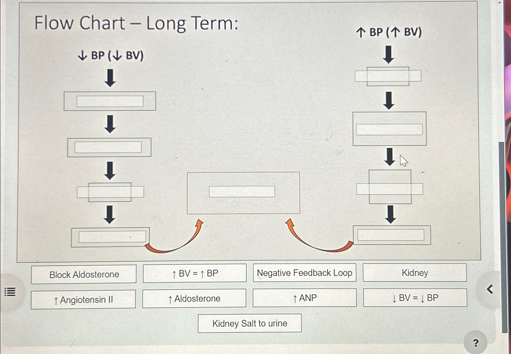 Solved Flow Chart - ﻿Long | Chegg.com