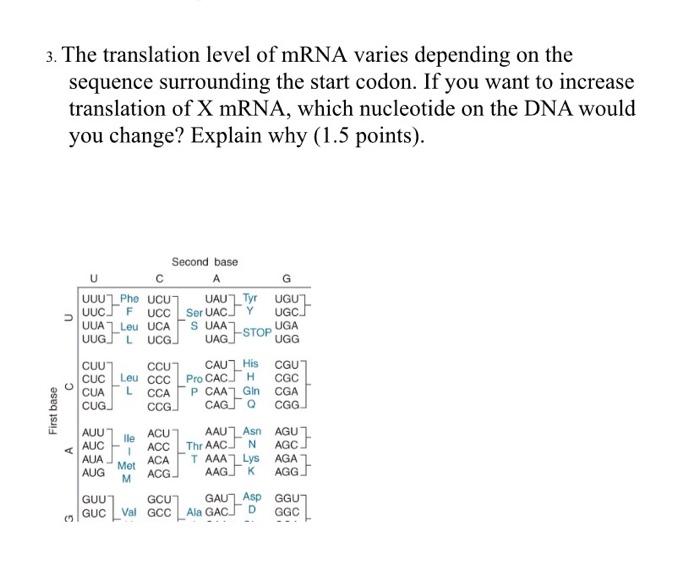 Solved 3. The translation level of mRNA varies depending on | Chegg.com