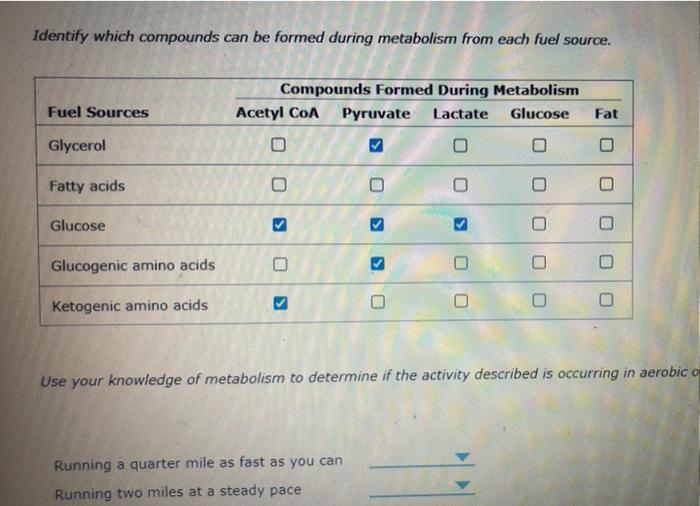 Solved Identify which compounds can be formed during | Chegg.com