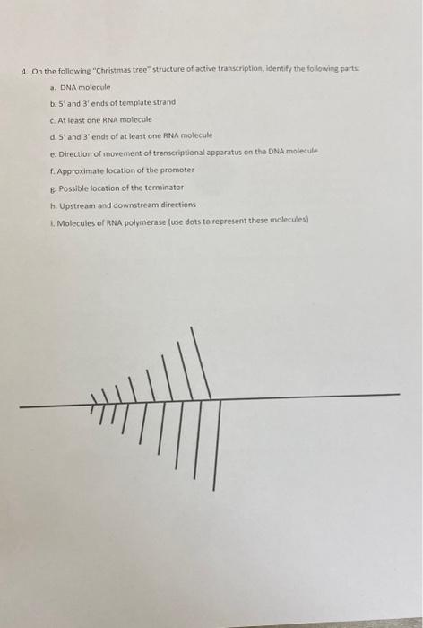 Solved 4. On the following "Christmas tree" structure of | Chegg.com