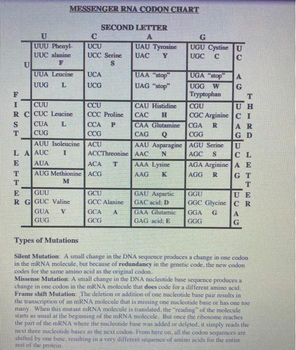 Solved Use messenger RNA chart to provided to solve problem | Chegg.com