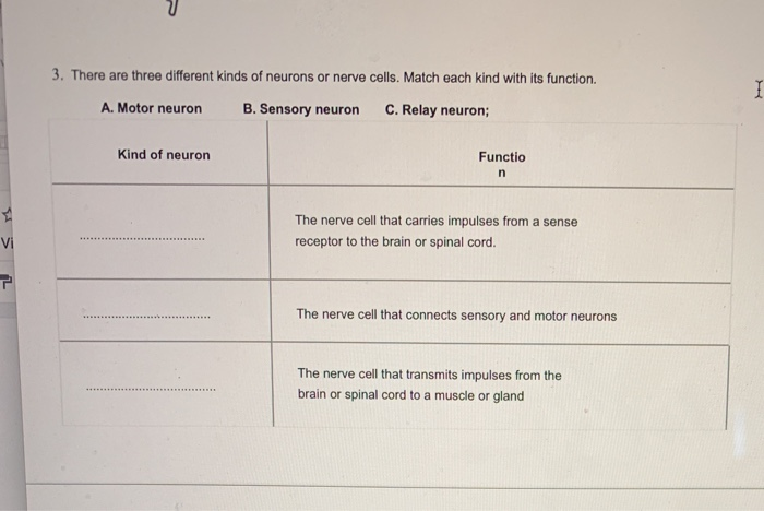 Solved NERVOUS SYSTEM WORKSHEET 1. The diagram below is of a | Chegg.com