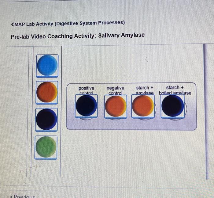 Predic what the IKI ( Lugol's) test results would | Chegg.com