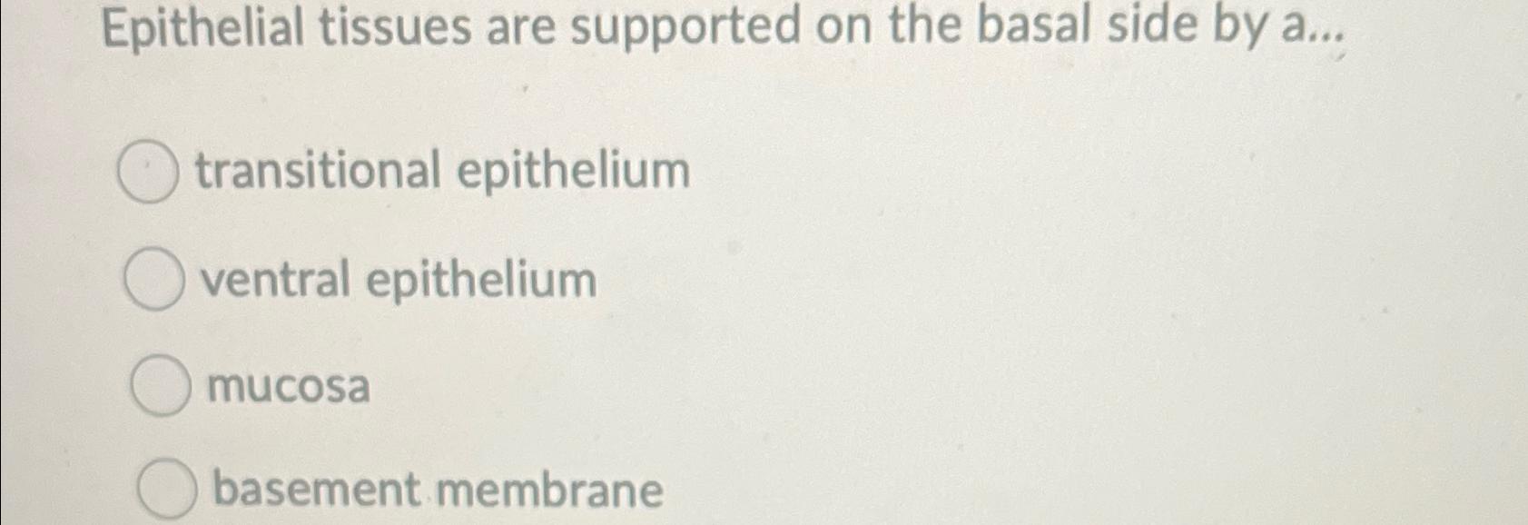 Solved Epithelial tissues are supported on the basal side by | Chegg.com