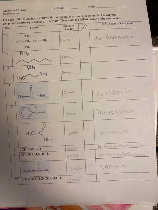 Solved Amines and Amides Lab Time! Name Nomenclature For | Chegg.com