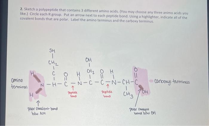 Solved what would the R groups be in this pic and how do you | Chegg.com