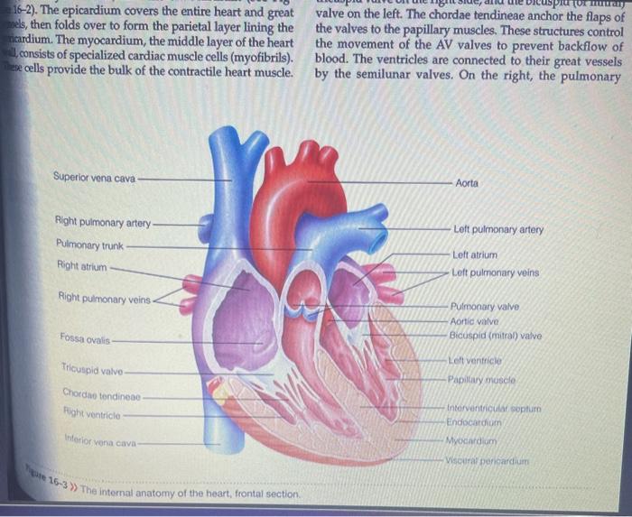 Solved Reading Comprehension/Critical Thinking Assignment | Chegg.com