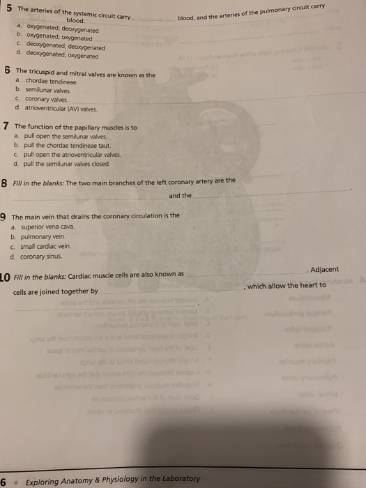 Solved Section UNIT 17 Check Your Recall REVIEW 1 Label the | Chegg.com