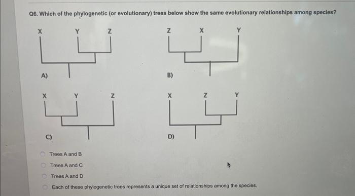Solved 26. Which of the phylogenetic (or evolutionary) trees | Chegg.com