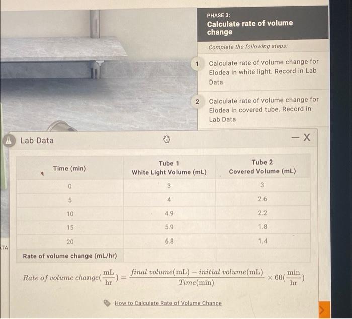 Solved PHASE 3: Calculate rate of volume change Complete the | Chegg.com