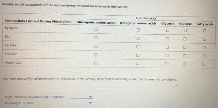 Identify which compounds can be formed during | Chegg.com
