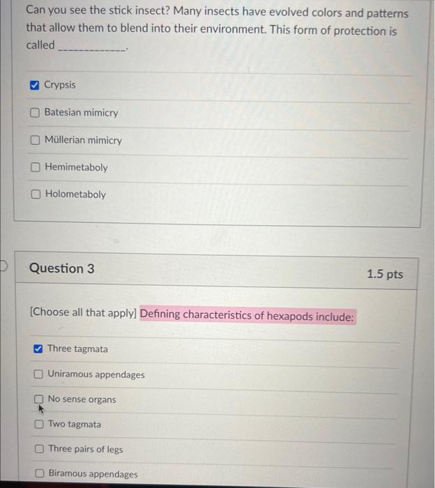 Solved Can you see the stick insect? Many insects have | Chegg.com