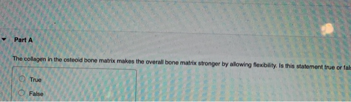 Solved Part A The collagen in the osteoid bone matrix makes | Chegg.com