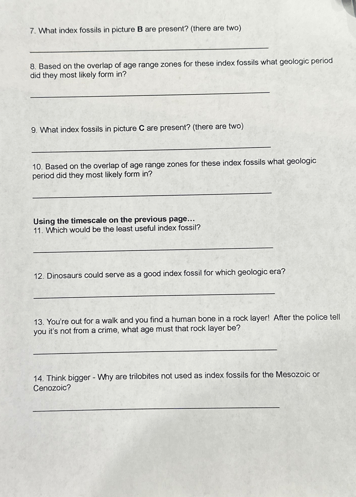 Solved What index fossils in picture B ﻿are present? (there | Chegg.com