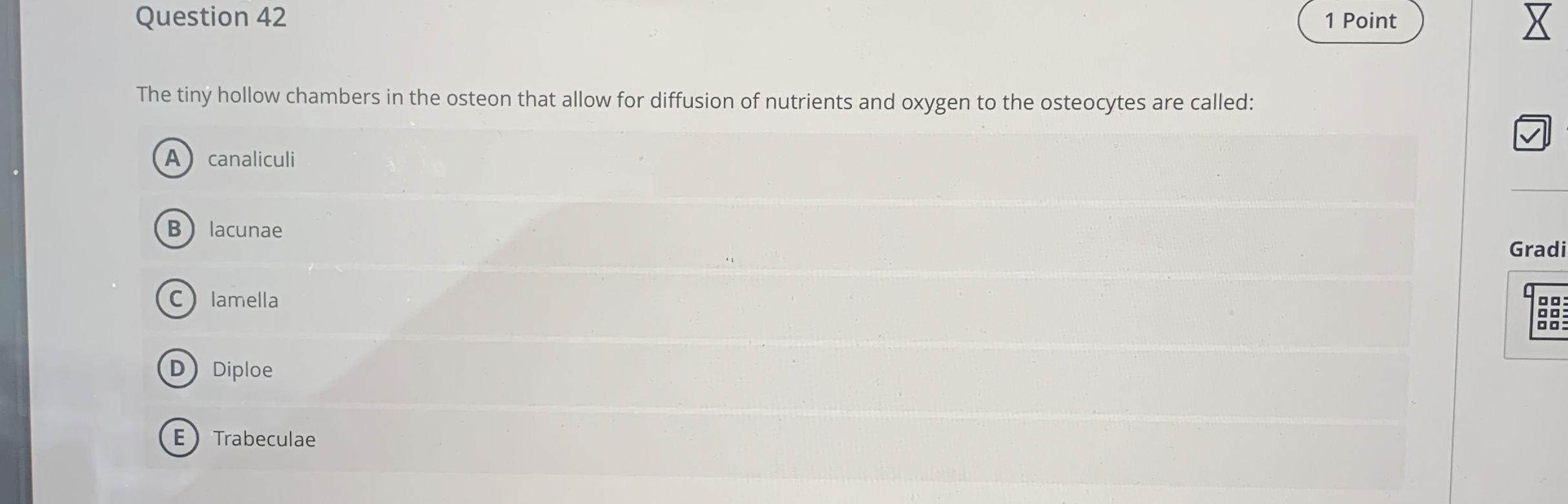 Solved Question 421 ﻿PointThe tiny hollow chambers in the | Chegg.com