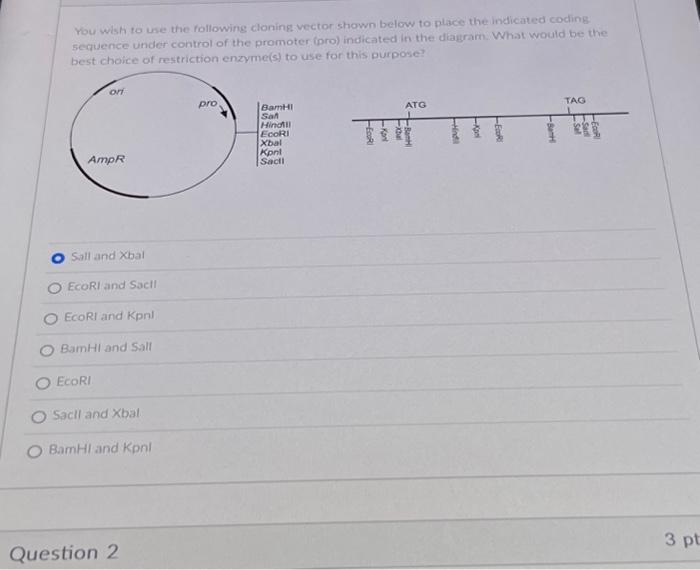 Solved You wish to use the following cloning vector shown | Chegg.com