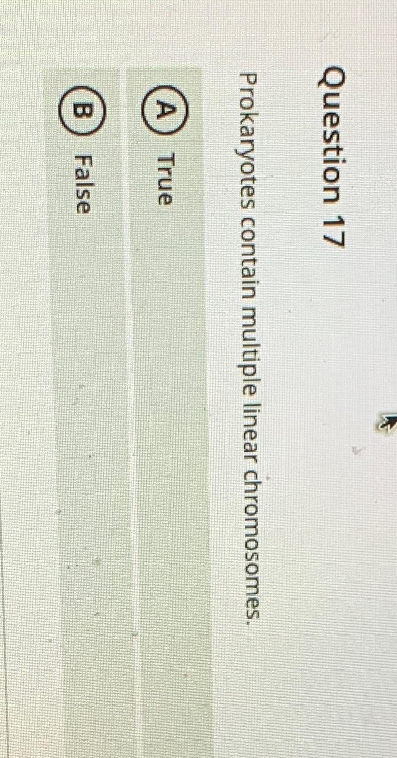 Solved Question 17Prokaryotes contain multiple linear | Chegg.com