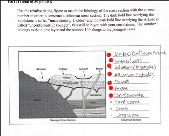 Solved Part II (total of 30 ﻿points):Use the relative dating | Chegg.com