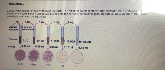 Solved QUESTION 2 Calculate the number of colony forming | Chegg.com