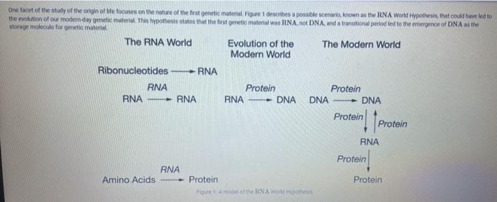 Solved One face of the study of the origin of life focuses | Chegg.com