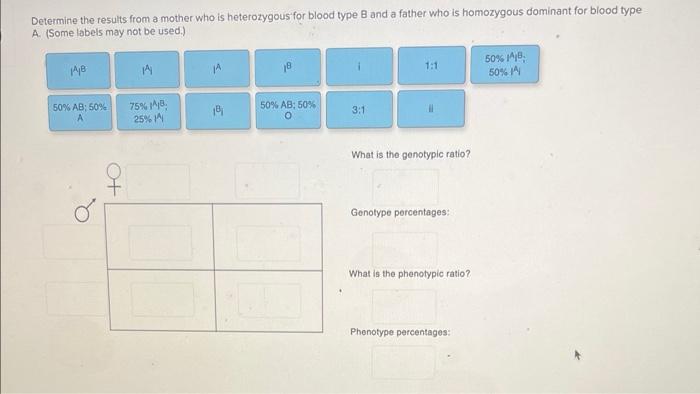 Solved Determine the results from a mother who is | Chegg.com