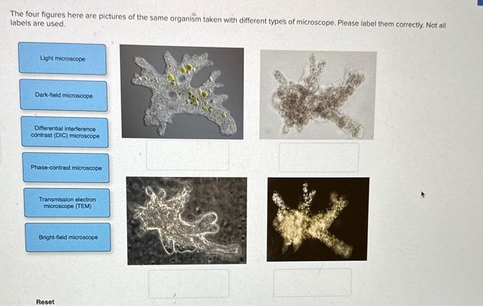 Solved The four figures here are pictures of the same | Chegg.com