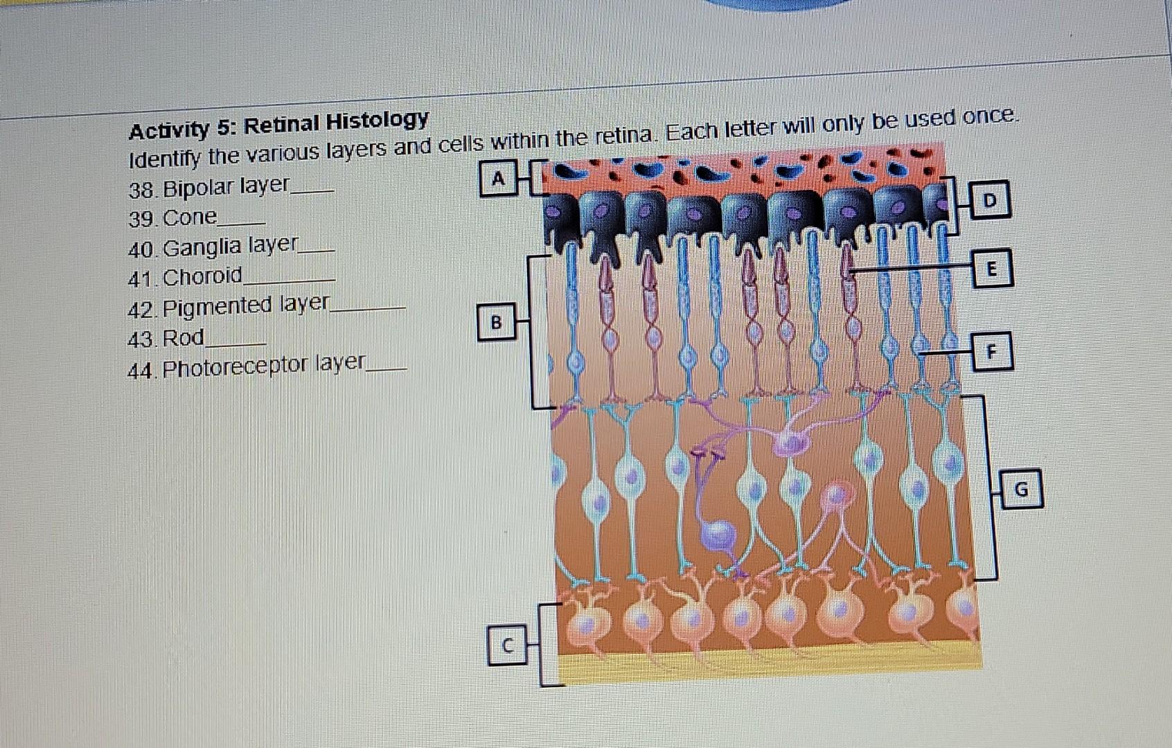 Solved References Mailings Review View Help 1 contain | Chegg.com