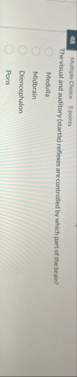 48Multiple Choice5 ﻿pointsThe visual and auditory | Chegg.com