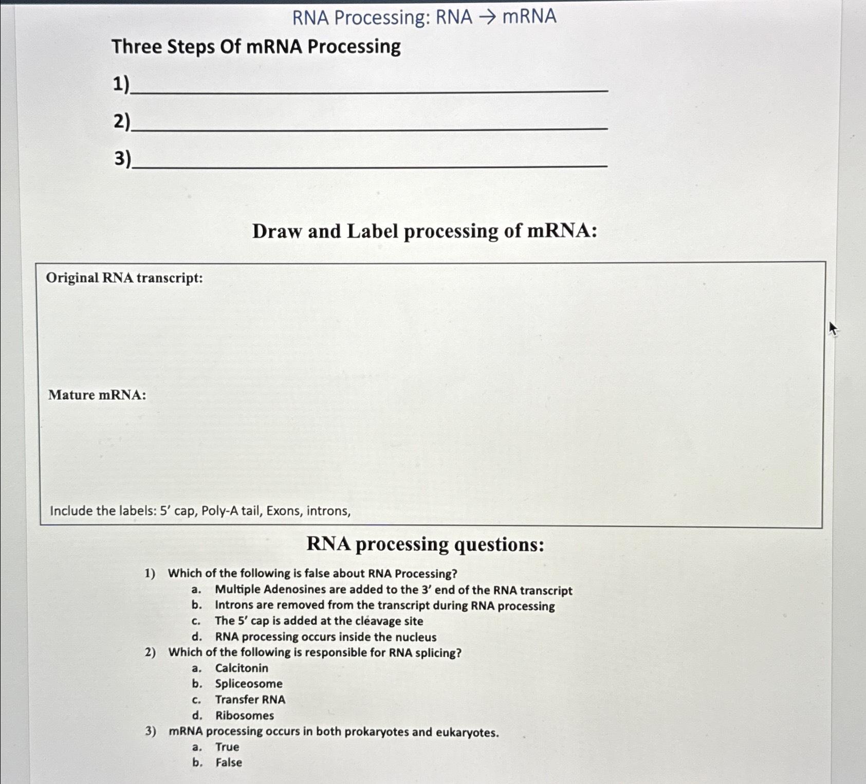 Rna Processing Diagrams Answers Rna Is A Part Of Many Cellul Rna Processing Diagrams Answers Rna Is A Part Of Many Cellul