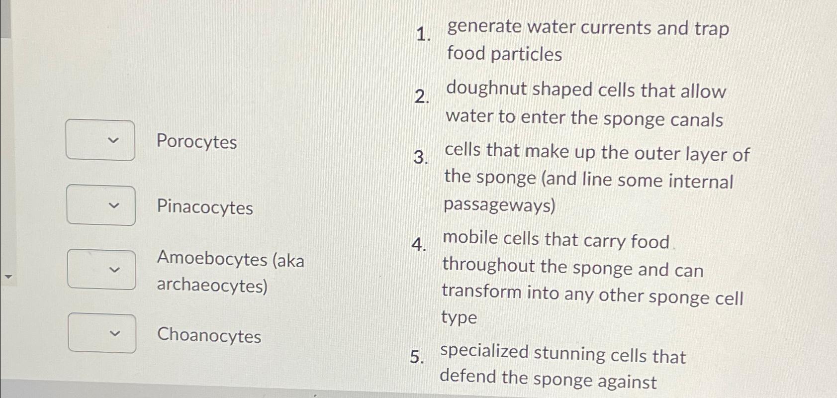 Solved generate water currents and trap food | Chegg.com