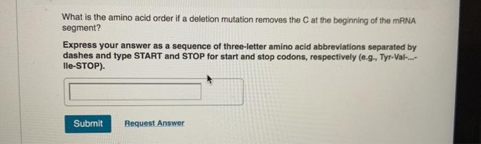 Solved Consider the following segment of mRNA produced by | Chegg.com