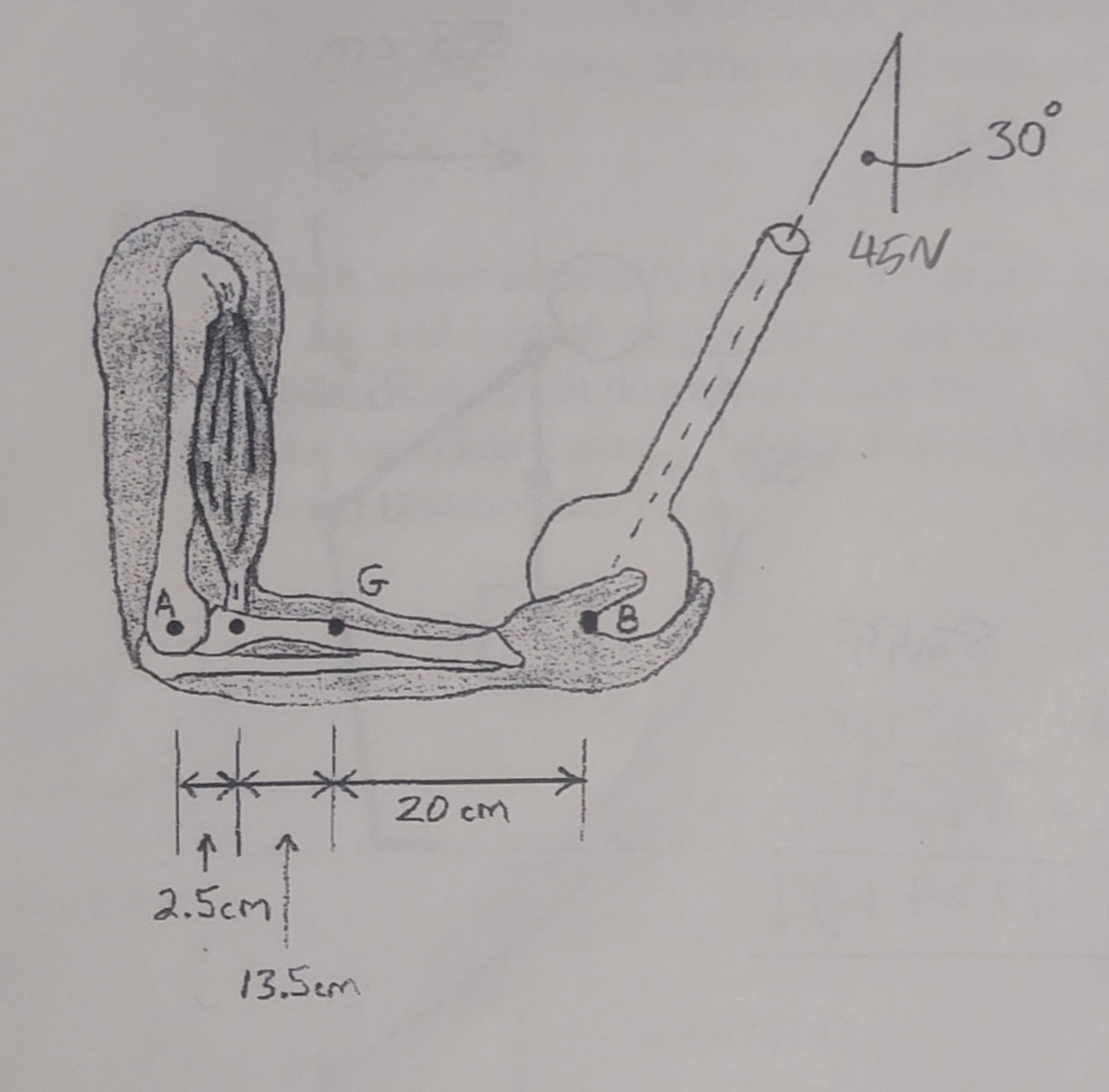Solved Determine the magnitude of the elbow joint force when | Chegg.com