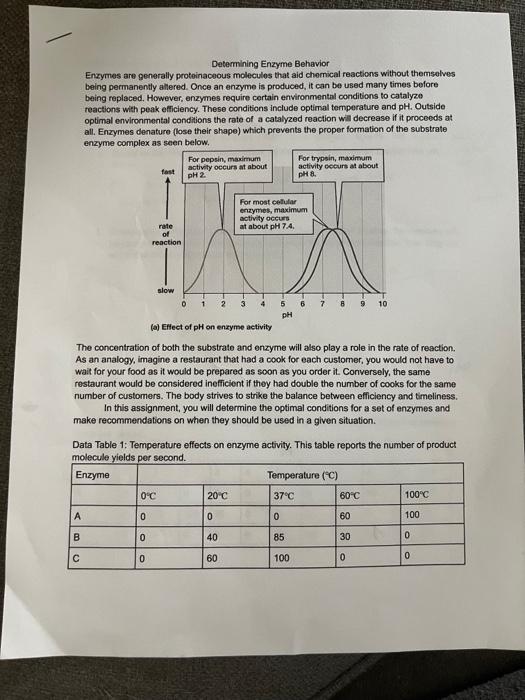 2. Create an enzyme activity diagram for the enzymes | Chegg.com
