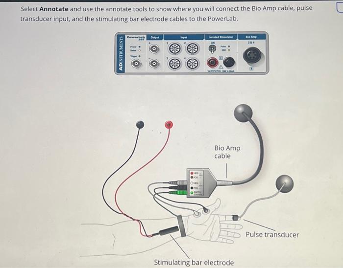 Solved Select Annotate and use the annotate tools to show | Chegg.com