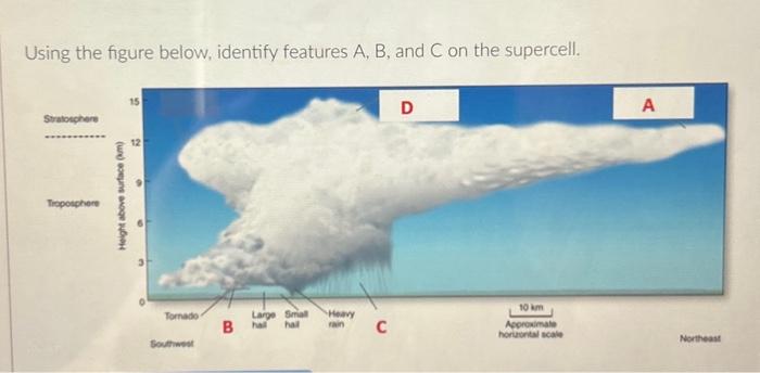 Solved Using the figure below, identify features A, B, and C | Chegg.com