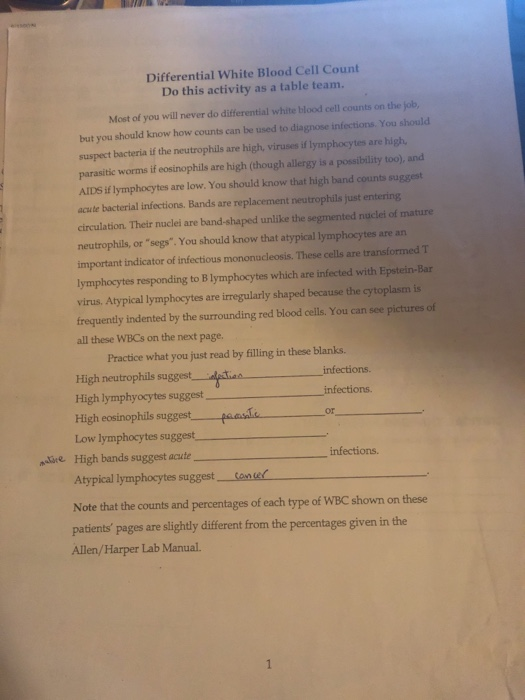 Solved Differential White Blood Cell Count Do this activity | Chegg.com