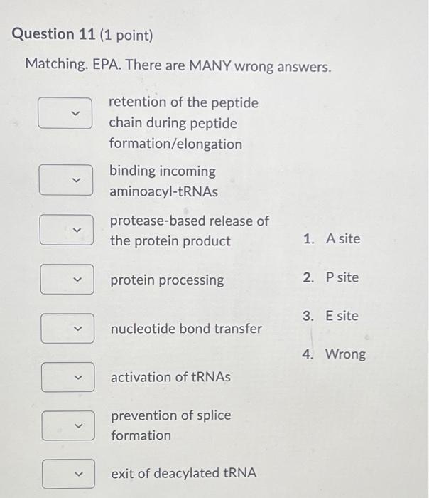 Solved Question 11 (1 point) Matching. EPA. There are MANY | Chegg.com