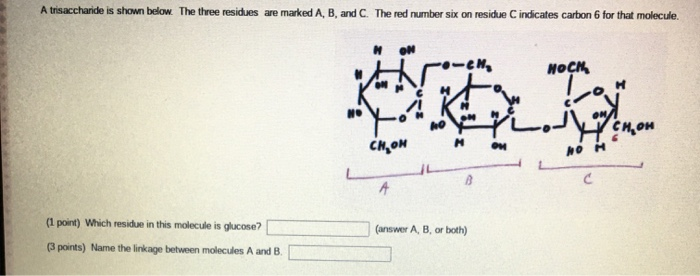 Solved A trisaccharide is shown below. The three residues | Chegg.com
