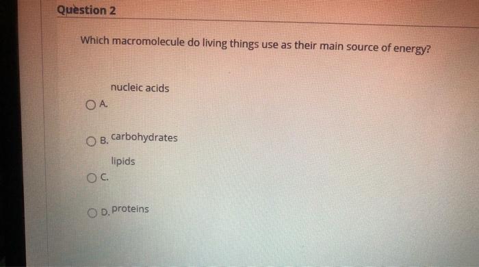 Solved Question 1 Which Macromolecule Is Used To Store