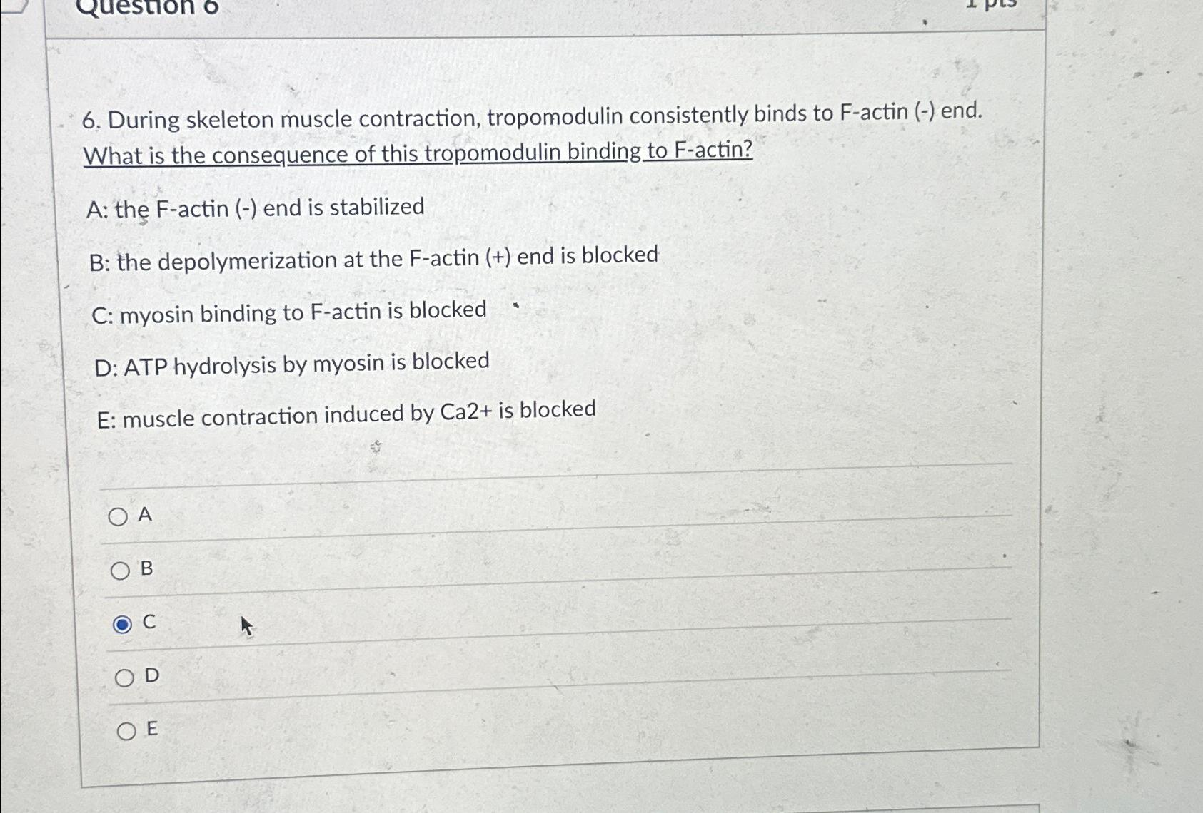 Solved During skeleton muscle contraction, tropomodulin | Chegg.com