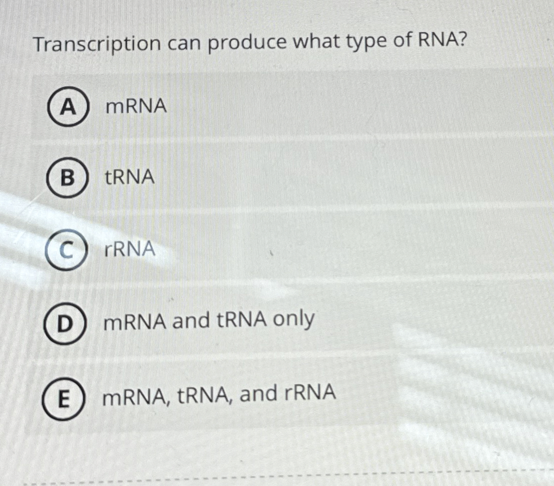 Solved Transcription can produce what type of | Chegg.com