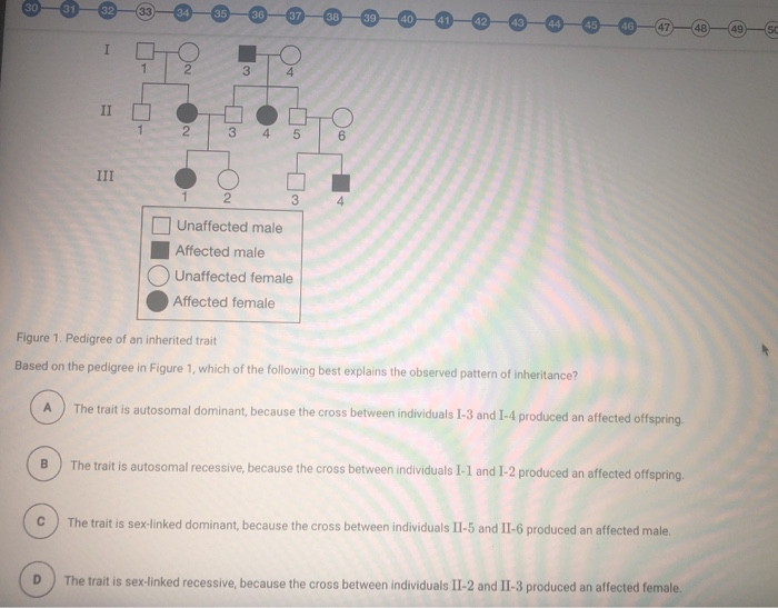 Solved To To 3 O. 4 5 Unaffected male Affected male | Chegg.com Solved To To 3 O. 4 5 Unaffected male Affected male | Chegg.com