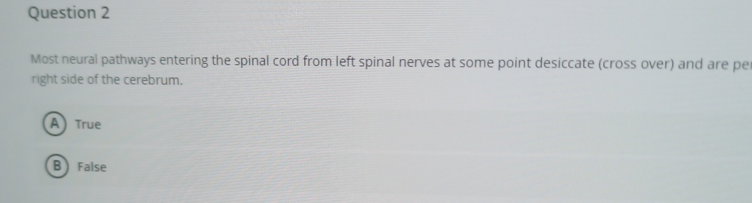 Solved Question 2Most neural pathways entering the spinal | Chegg.com