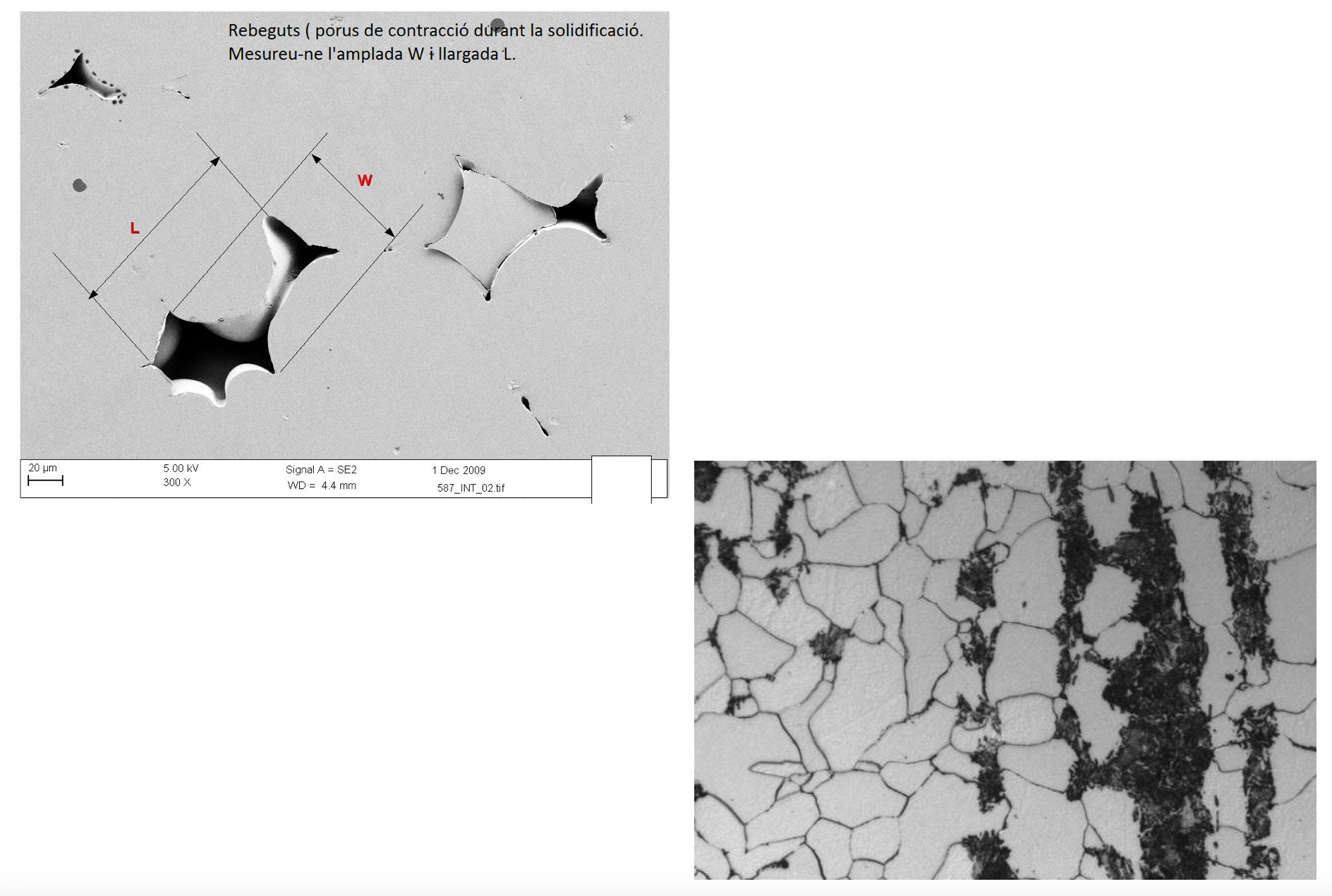 Solved The first corresponds to a normalized hypoeutectoid | Chegg.com