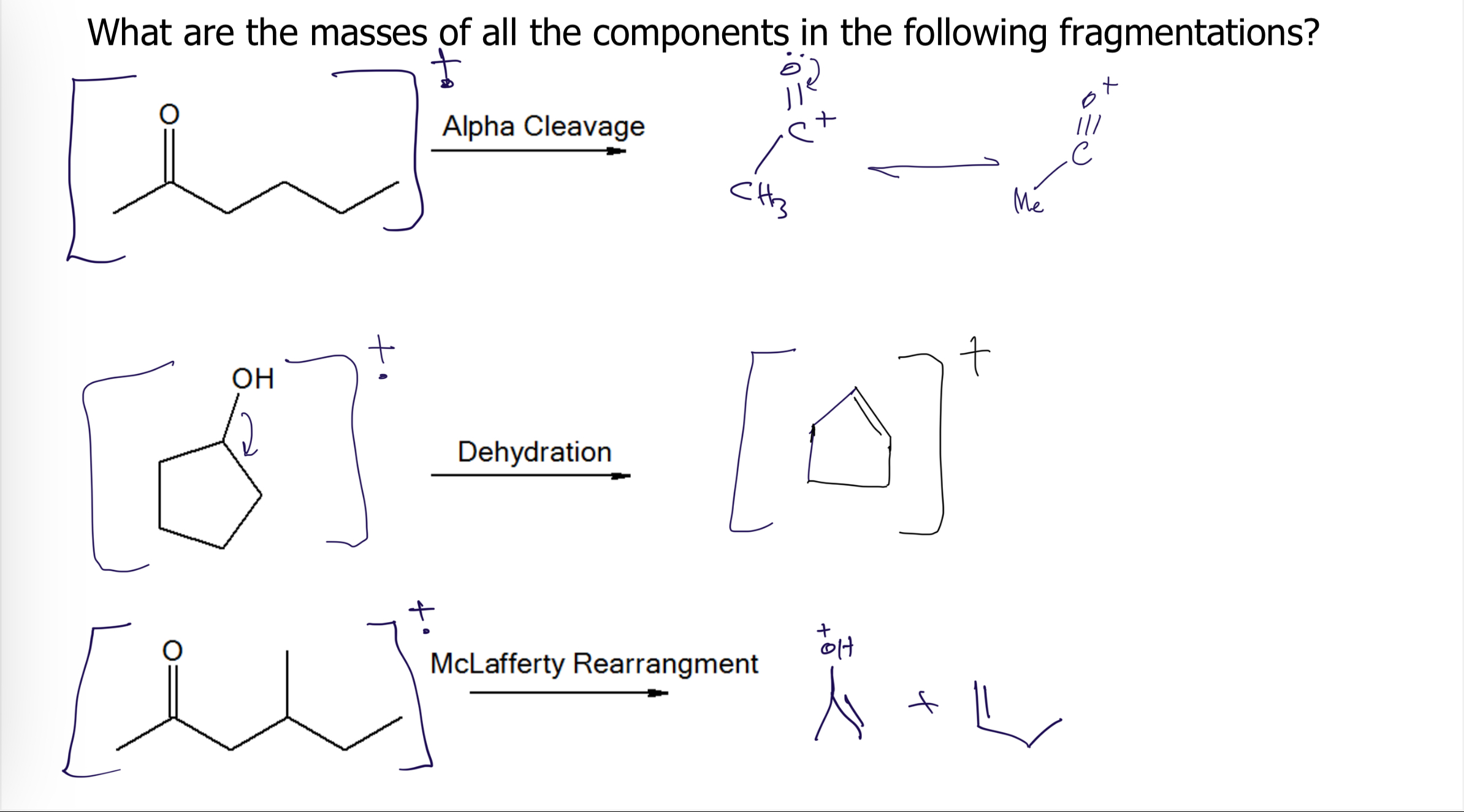 Solved What are the masses of all the components in the | Chegg.com
